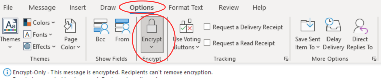 How to Encrypt Emails in Outlook | Edmondson's IT Services